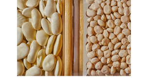 SIMPLi I Ethical Food Sourcing for a Better World