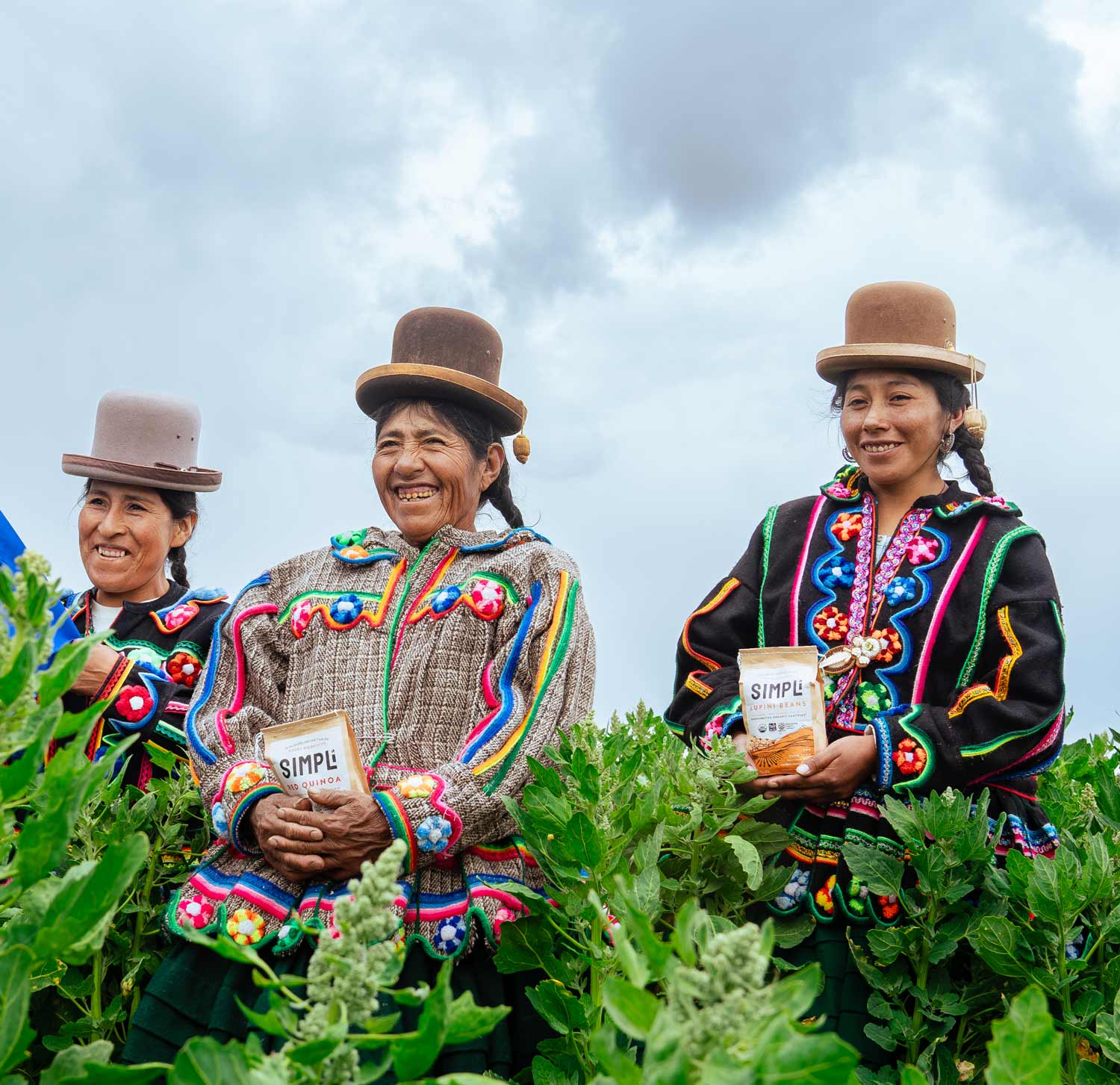 Wholesale – SIMPLi