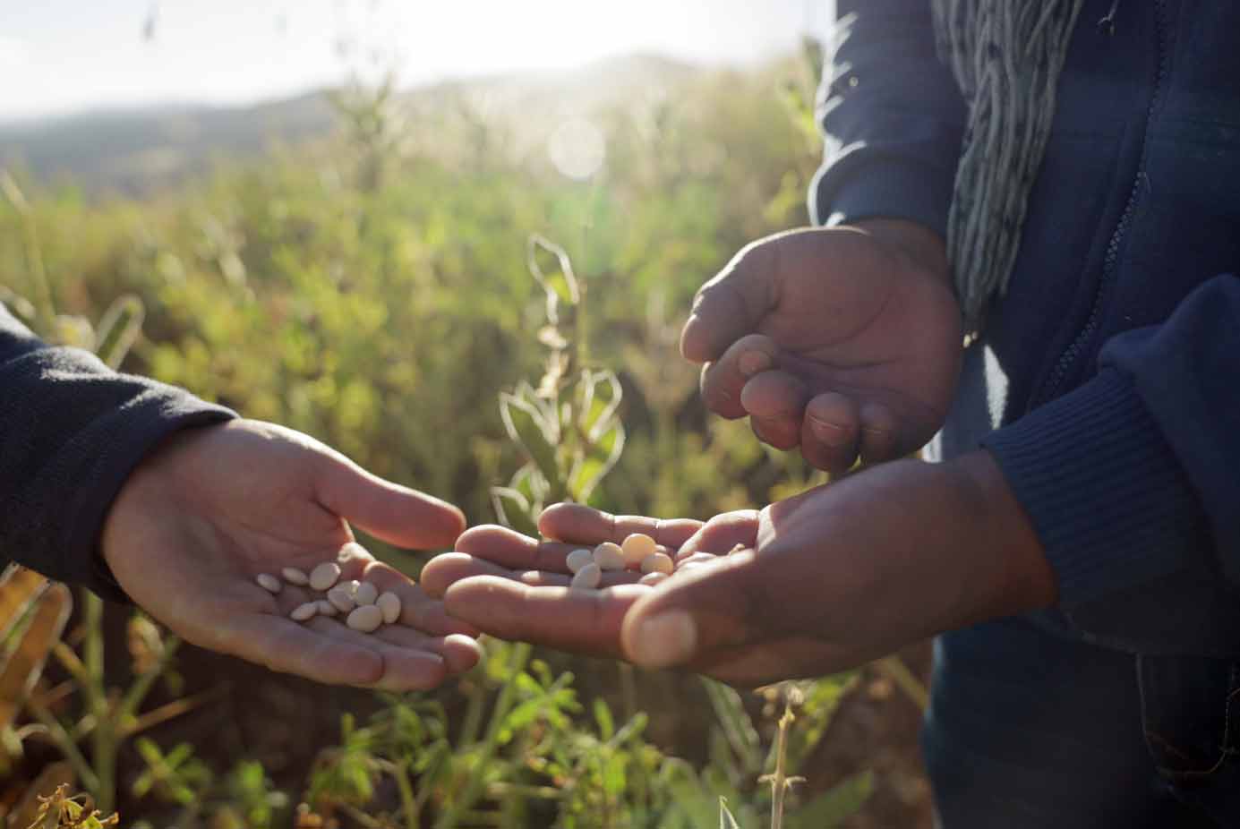 Regenerative Organic – SIMPLi